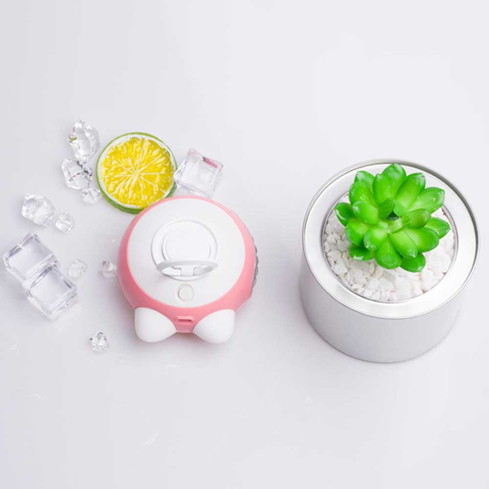 Best Buy Outlines Turbine Portable Small Fan - MINIFANS | ibizgift ...